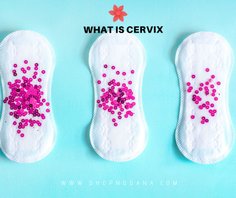 Cervical Infections and Cancer- Know About Your Cervix - Shopno Dana