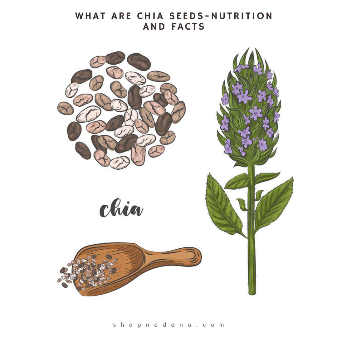 What Are Chia Seeds-Nutrition And Facts - Shopno Dana